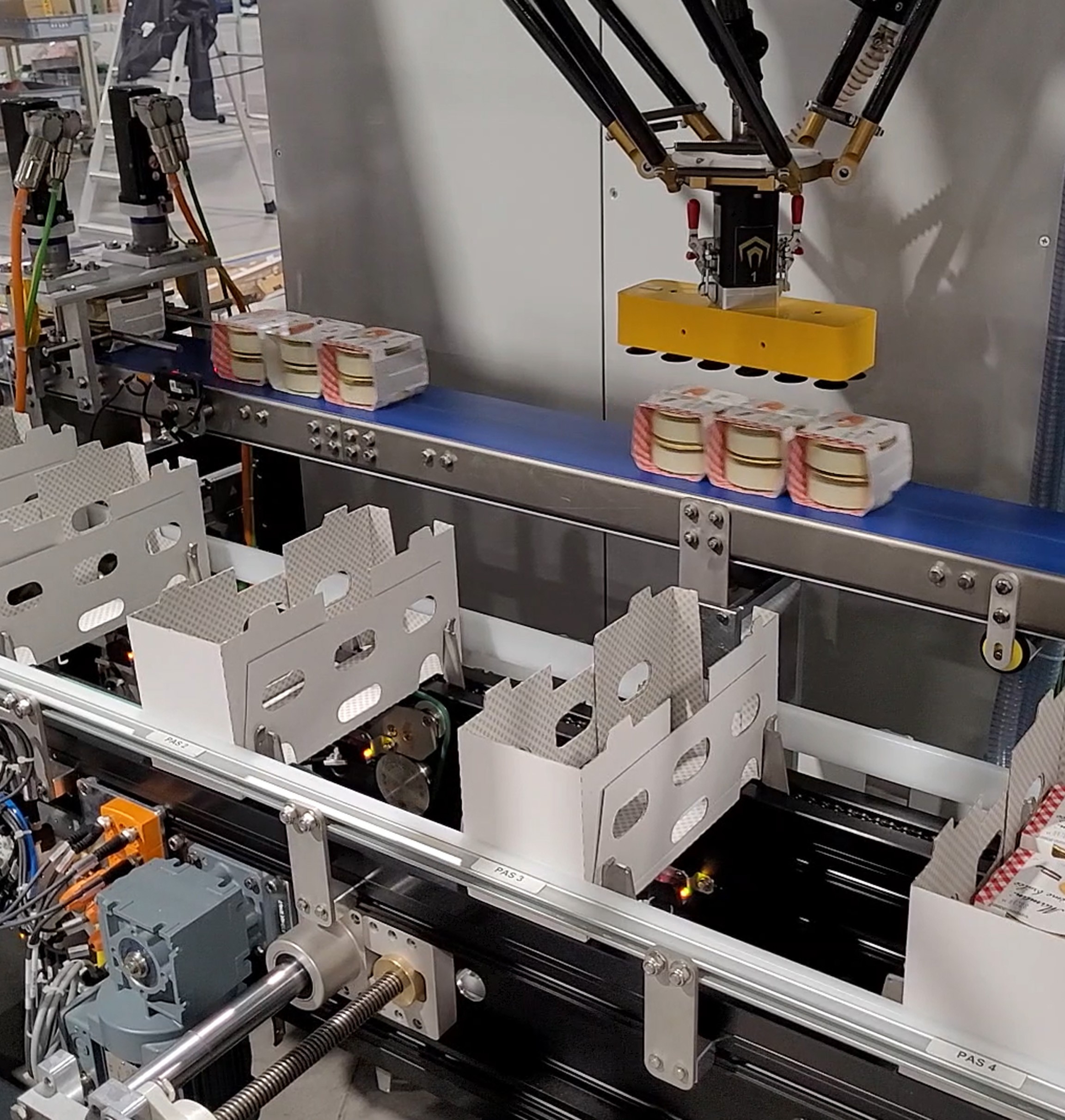 PM-TL100 top load case packer | MG Tech